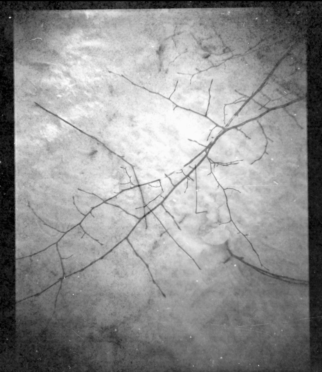 Snow Therapy – Julie Flam