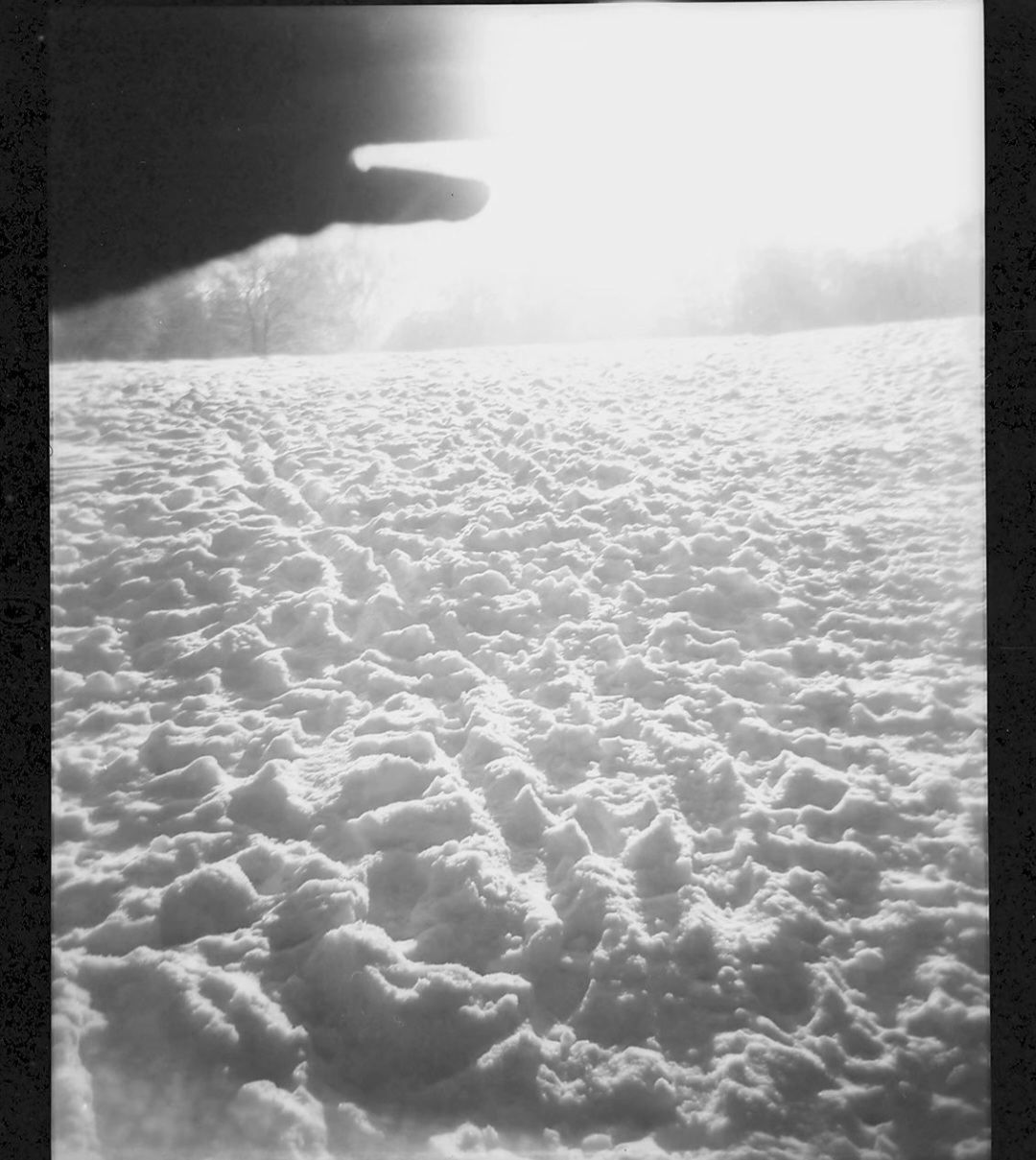 Snow Therapy – Julie Flam